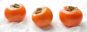 Persimmons Australia Home - Persimmons Australia