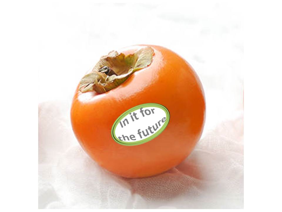 Persimmons Australia 2017 Australian Persimmon Industry Conference ...